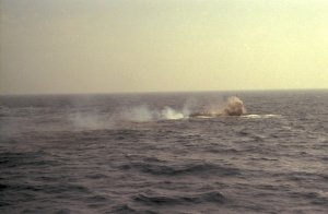 Sea Stories: Surviving a Submarine Fire – USS Bonefish, 1988 (feat ...